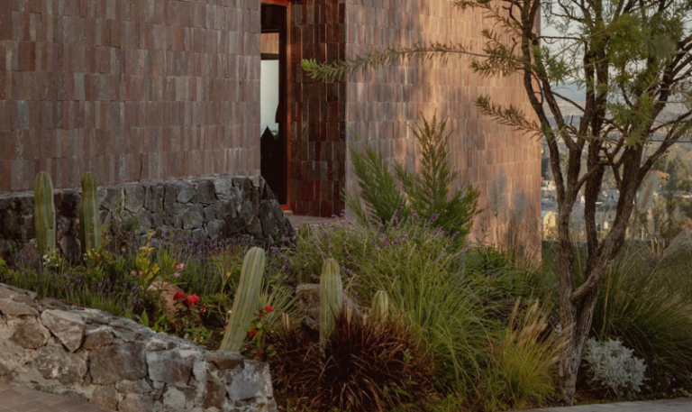 SAN MIGUEL DE ALLENDE HOTEL ALBOR - Estudio Lofft